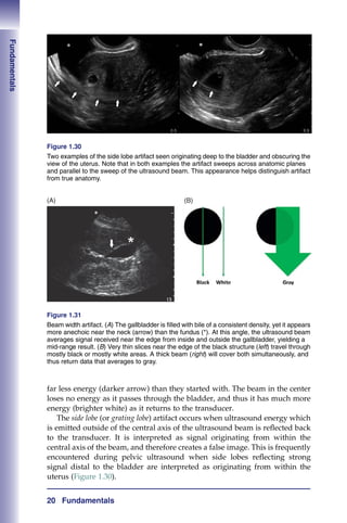 Manual of Emergency and Critical Care Ultrasound - Vicki Noble.pdf