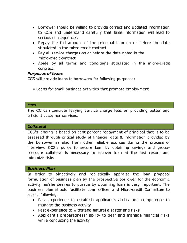 Manual on loan policy procedure for ccs microfinance | DOCX | Personal ...
