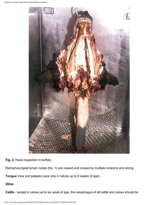 Manual on meat inspection for developing countries | PDF
