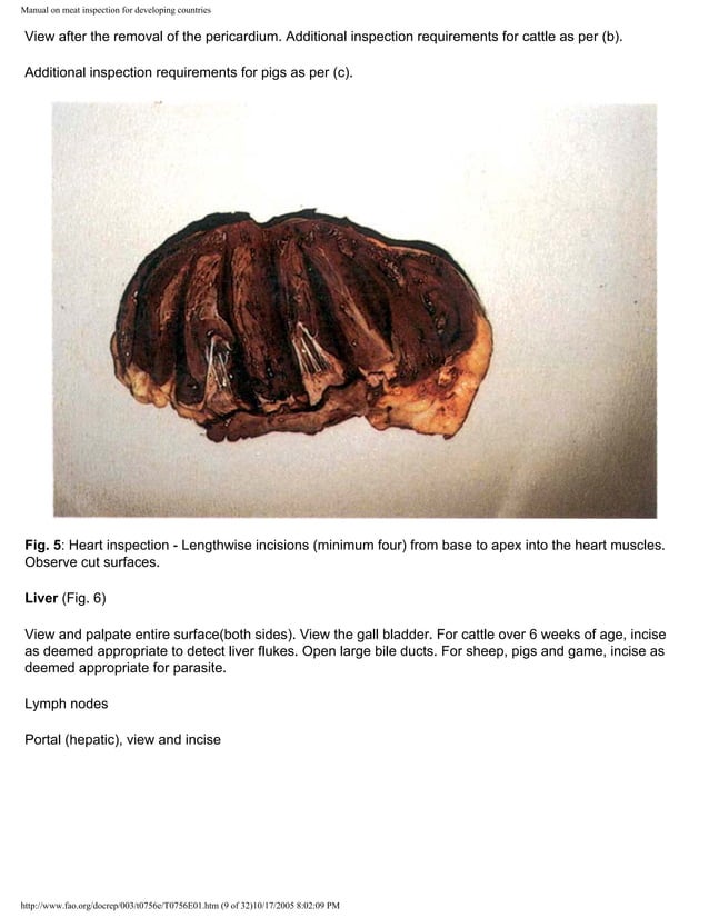 Manual on meat inspection for developing countries | PDF | Infectious ...