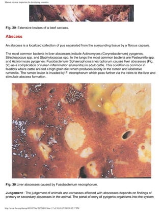 Manual on meat inspection for developing countries | PDF