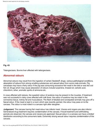 Manual on meat inspection for developing countries | PDF