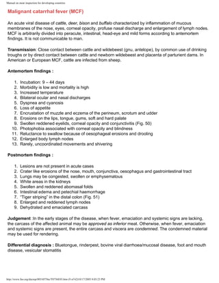 Manual on meat inspection for developing countries | PDF