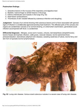 Manual on meat inspection for developing countries | PDF