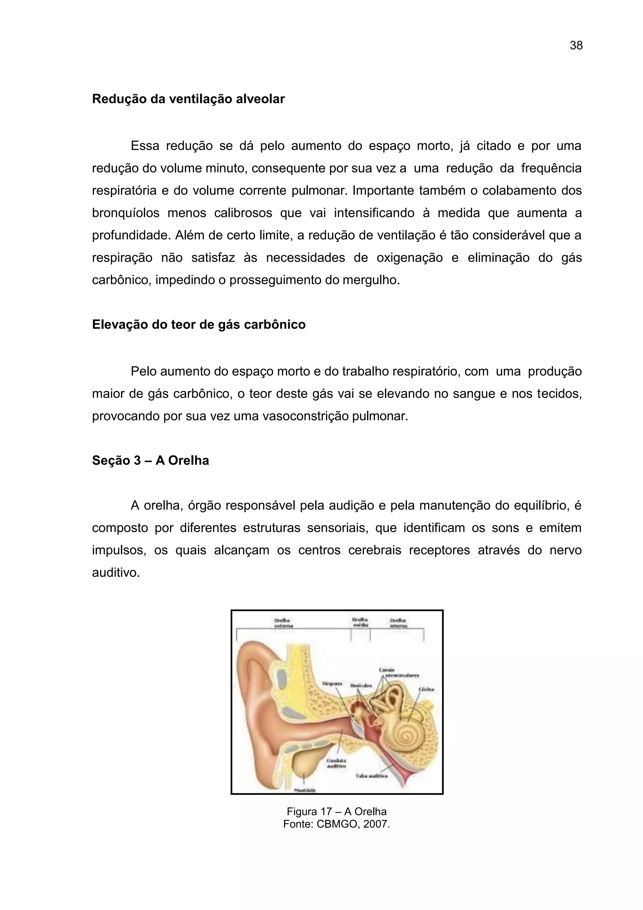 Manual Operacional de Bombeiros – Mergulho Bombeiro Militar | PDF