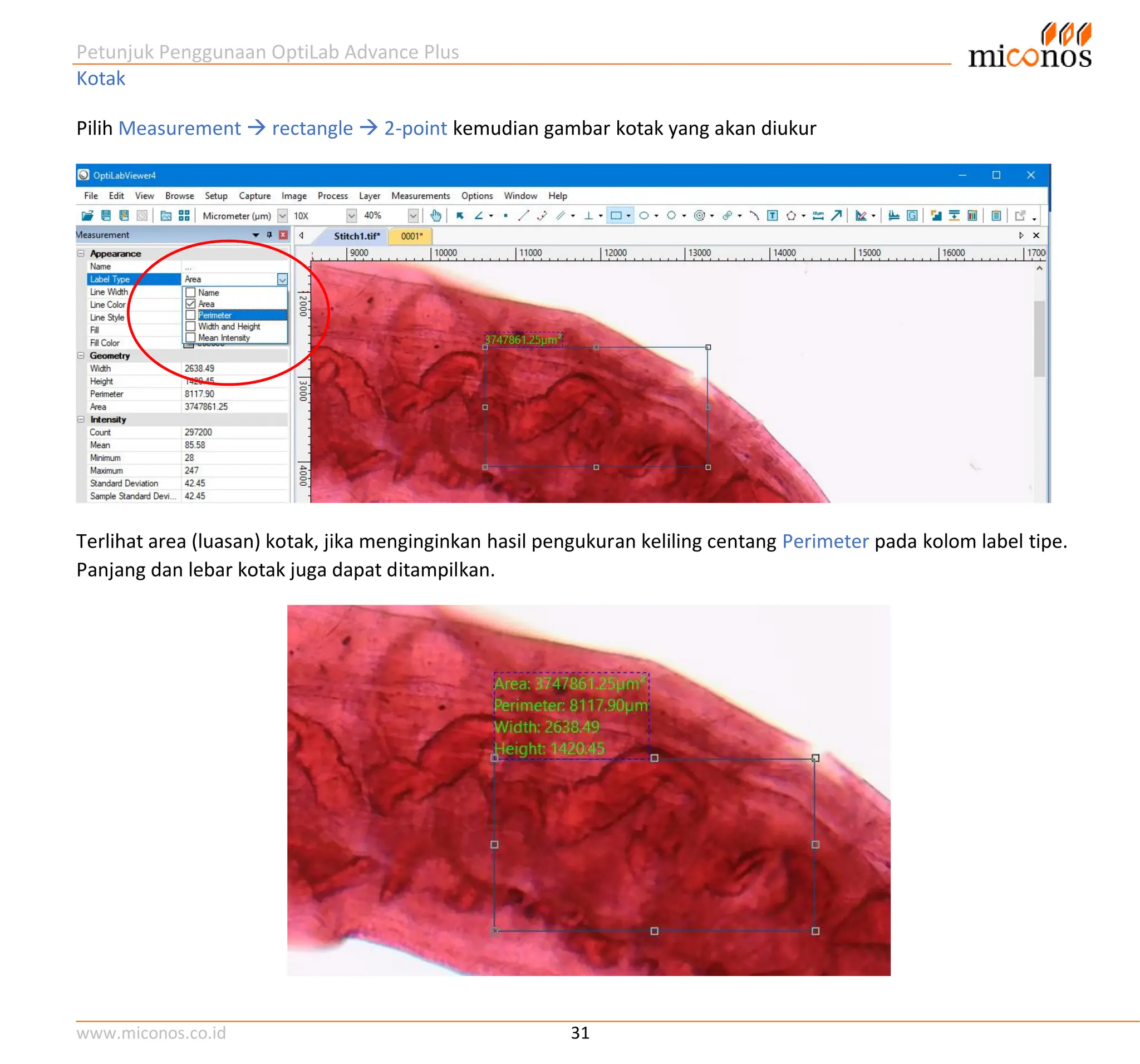 Manual Opti Lab Mikroskop Virtual Lab .pdf