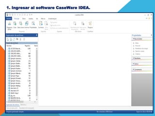 Manual para importar el formato pdf a caseware idea | PDF