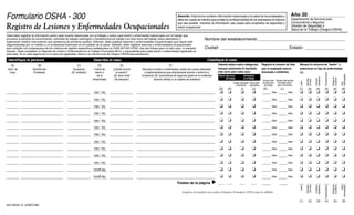 Manual para llenar formularios osha | PDF