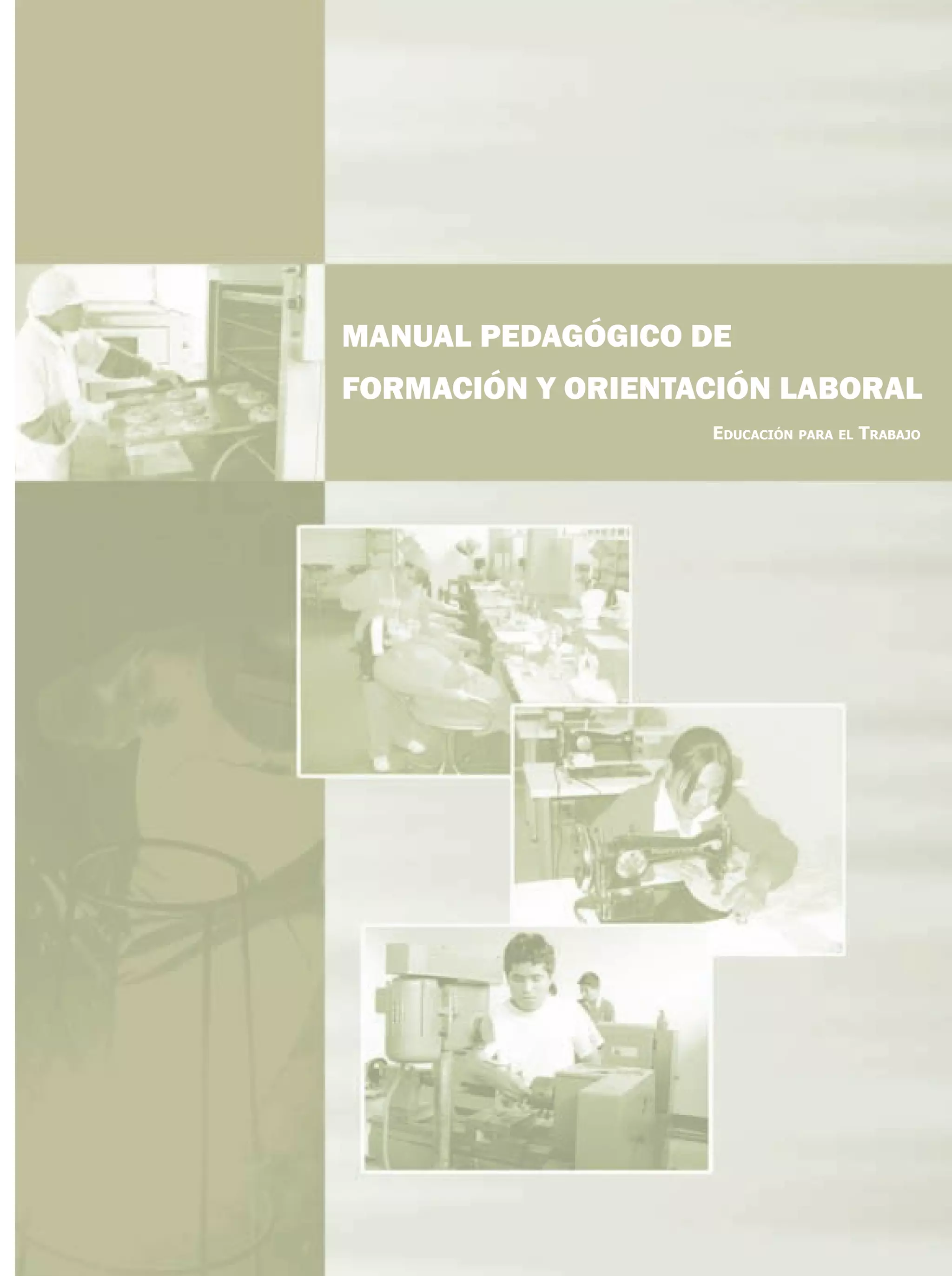 Manual pedagogico ept_red | PDF