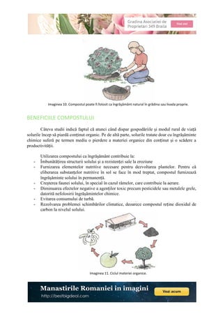 Manual pentru obtinerea compostului in gospodarii | PDF