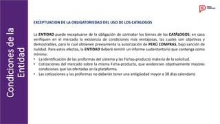 Manual Perú compras 2024 ent. Públicas .pdf