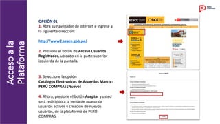 Manual Perú compras 2024 ent. Públicas .pdf