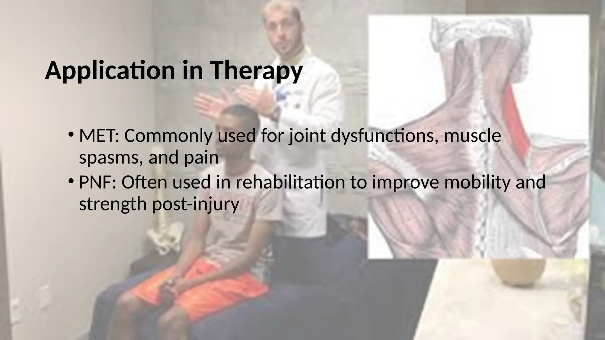 manual ppt.pptx......doctor of physical therapy | PPTX