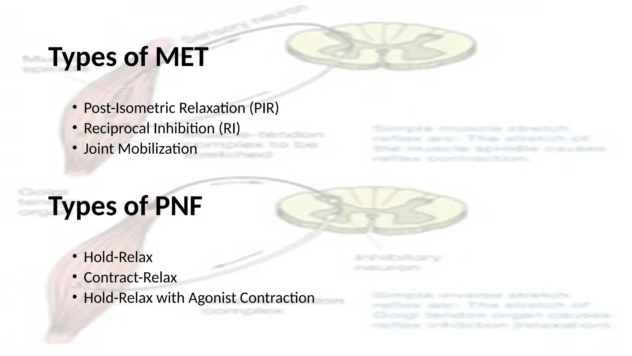 manual ppt.pptx......doctor of physical therapy | PPTX