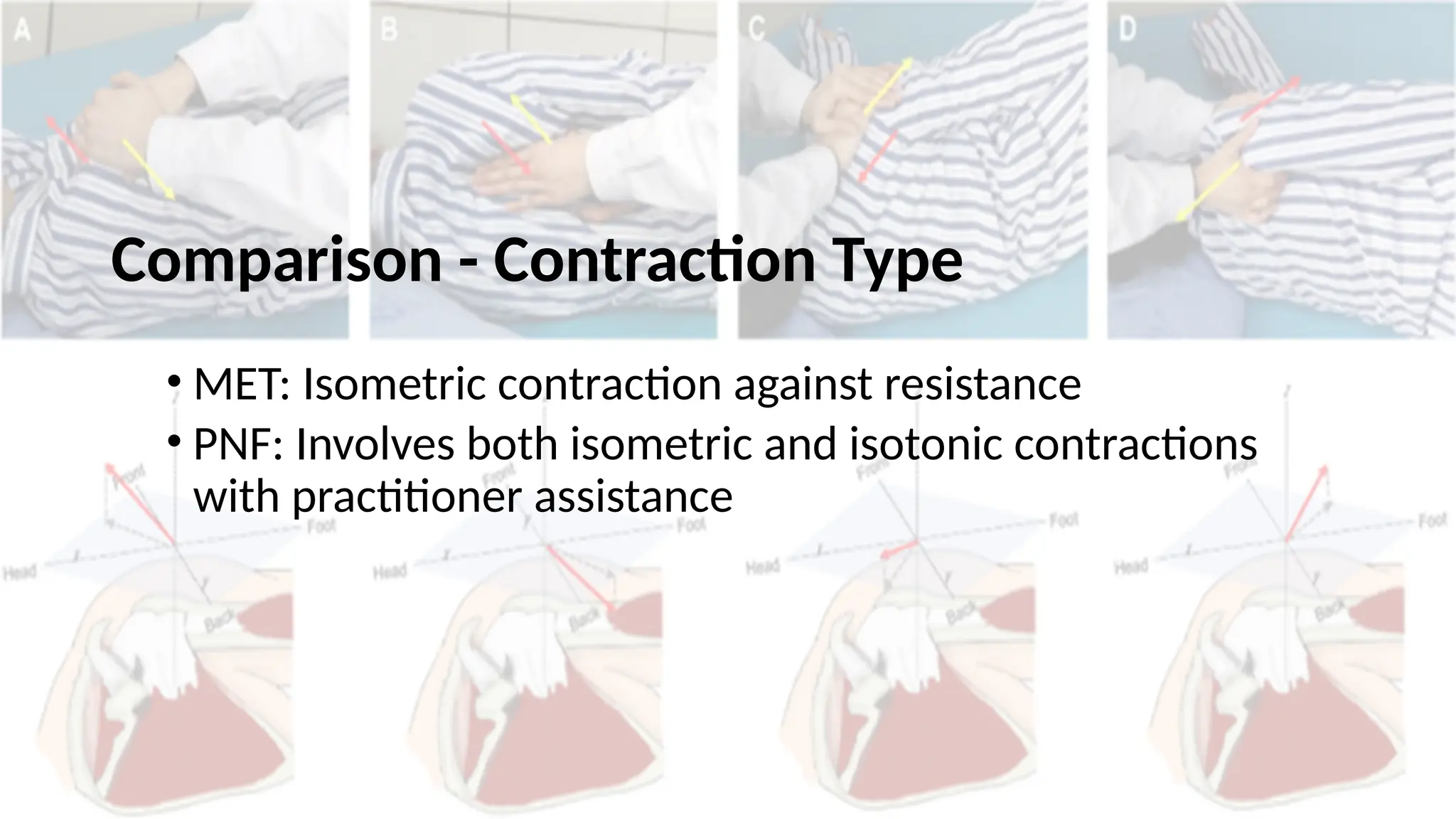 manual ppt.pptx......doctor of physical therapy | PPTX