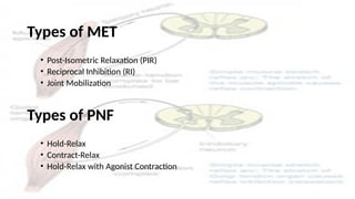 manual ppt.pptx......doctor of physical therapy | PPTX