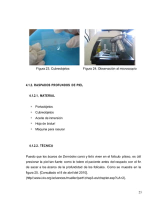 Manual practico de toma de muestra en caninos y felinos | DOCX