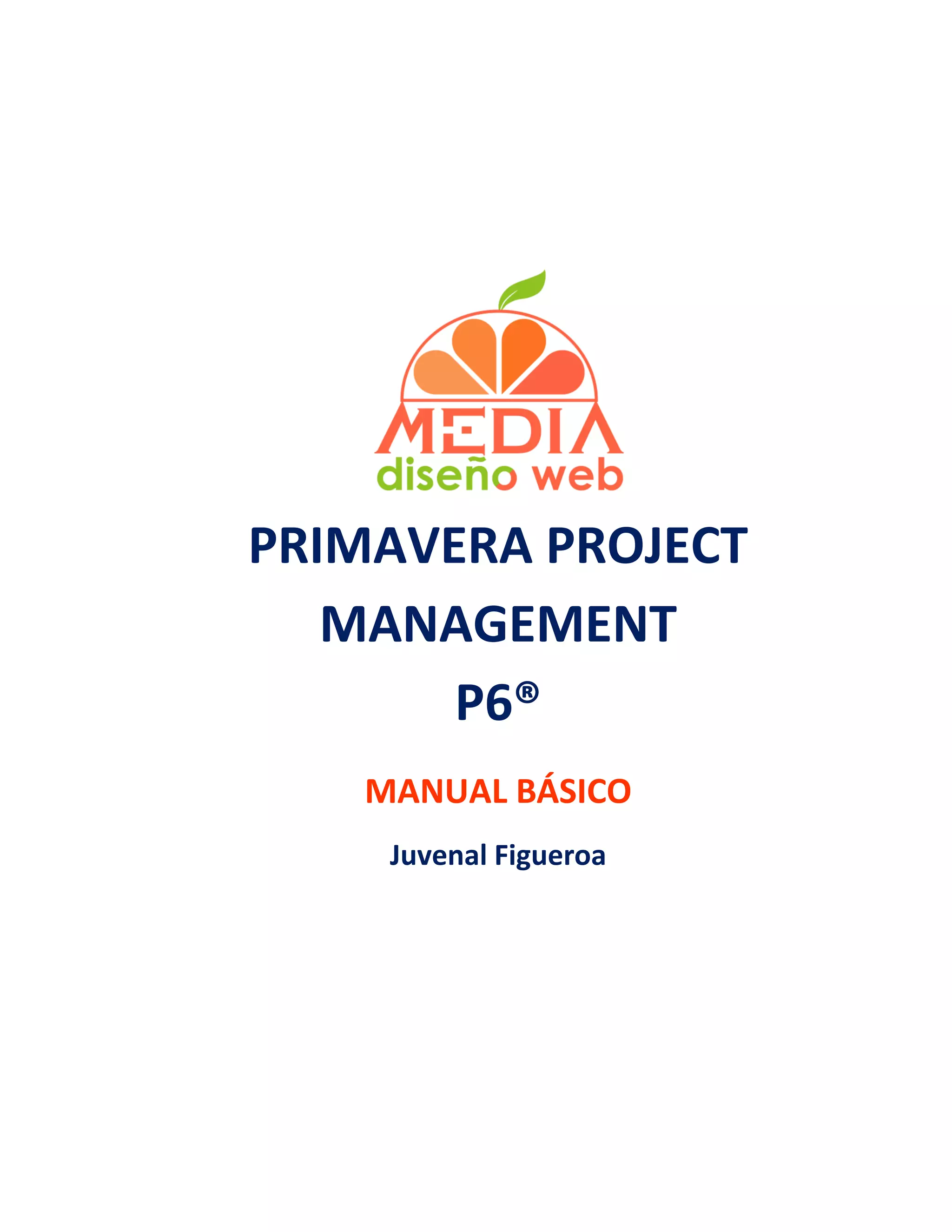 Manual primavera p6 | PDF