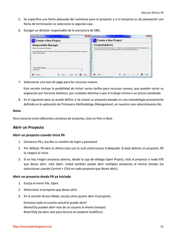 Manual primavera p6 | PDF