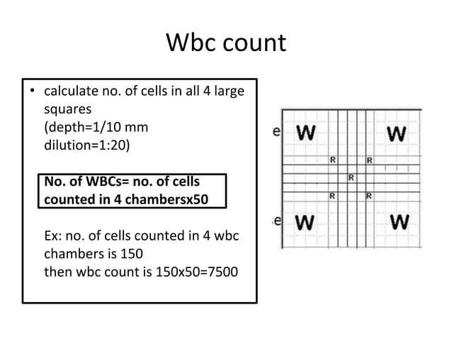 Manual RBC, WBC platelet count sop (1).pptx | Blood Disorders ...