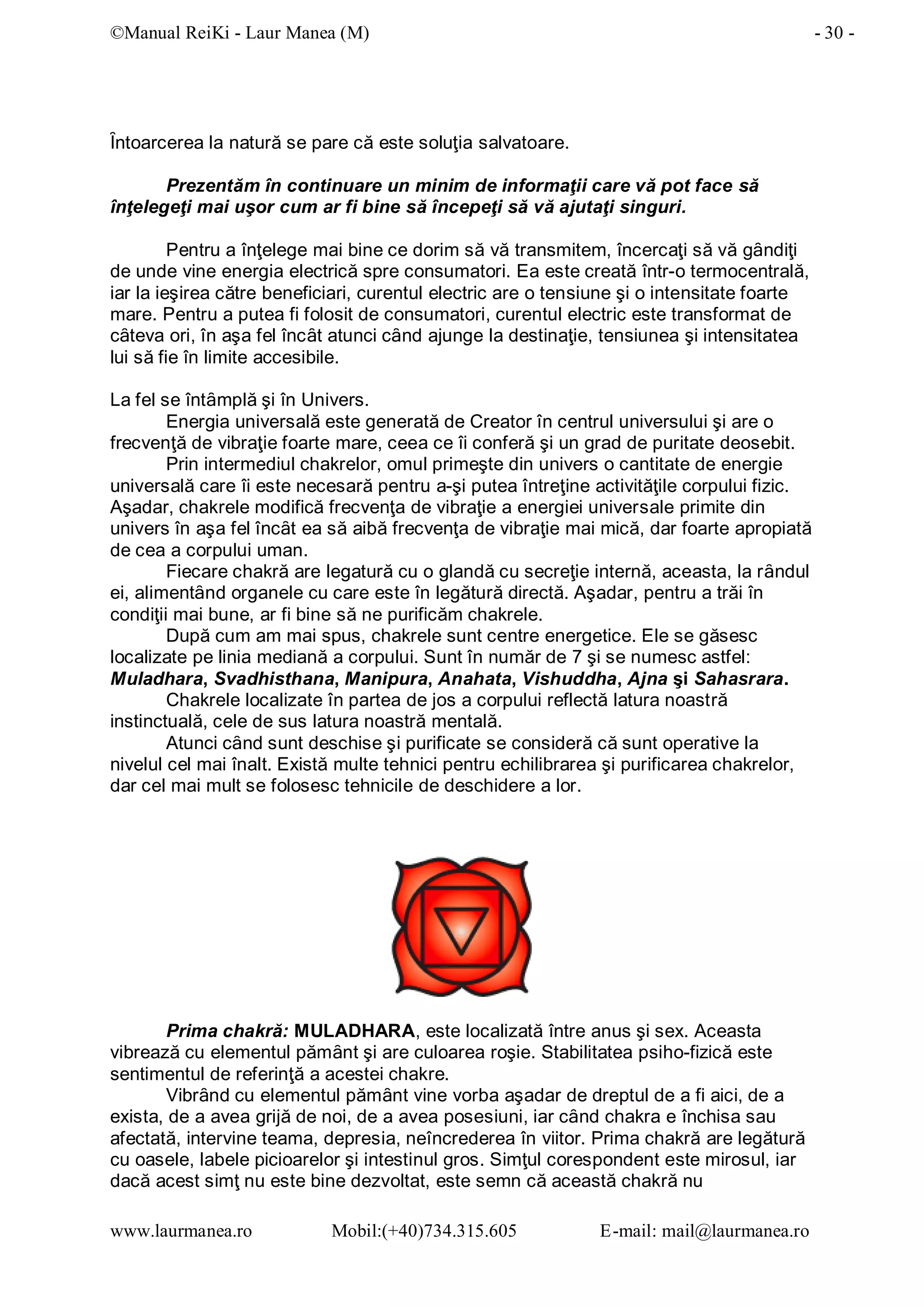Manual Reiki Usui Shiki Reiki Ryoho | PDF
