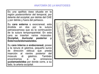 Manualrx03 Oido | PPT