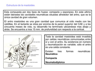 Manualrx03 Oido | PPT