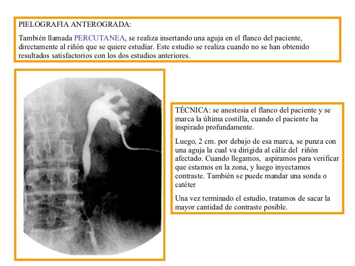 Manualrx09 Contrastados
