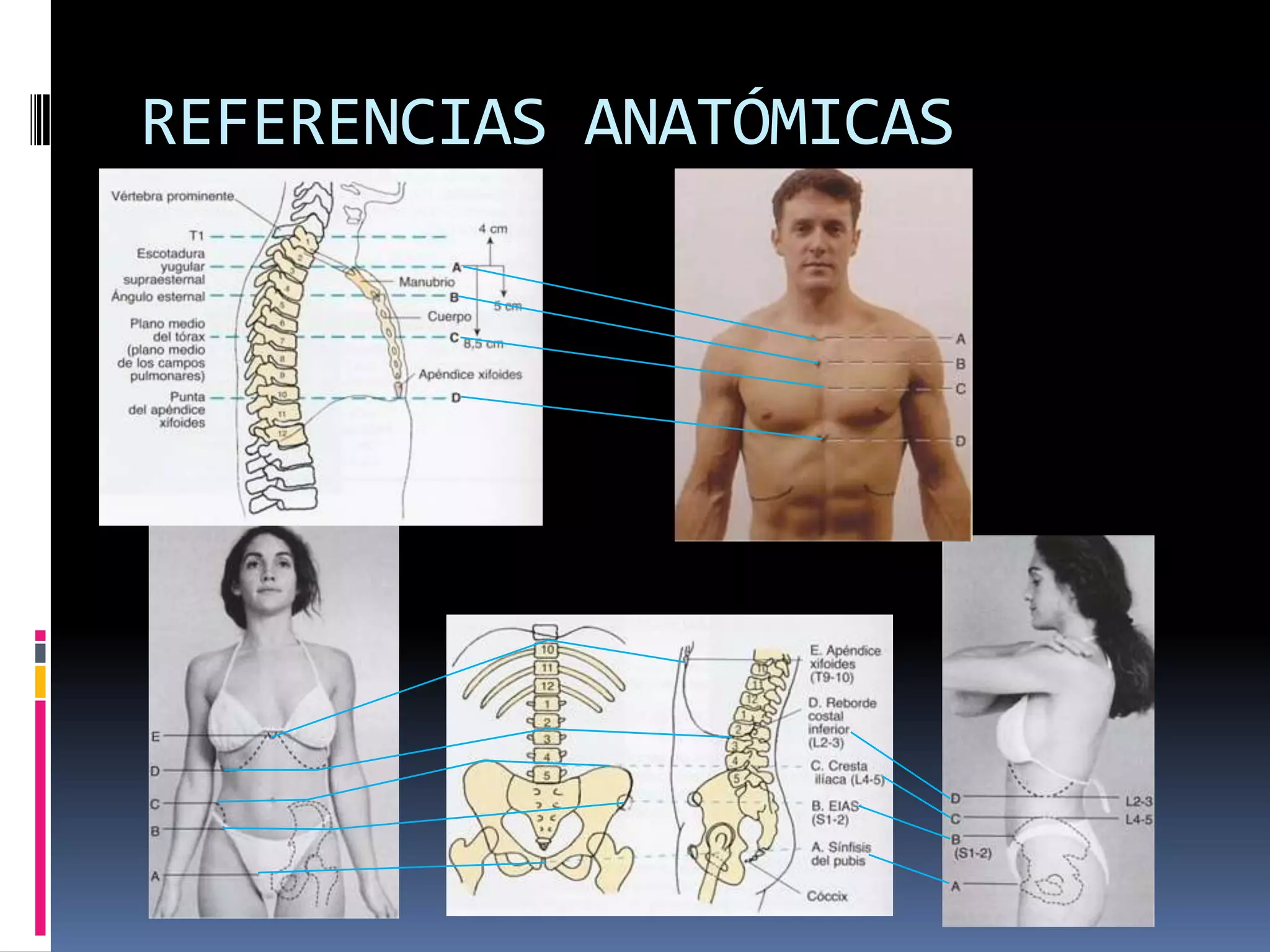 Manual rx columna vertebral | PPTX