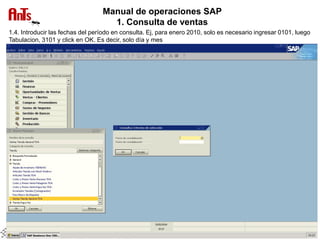 Manual SAP Business ONE | PDF