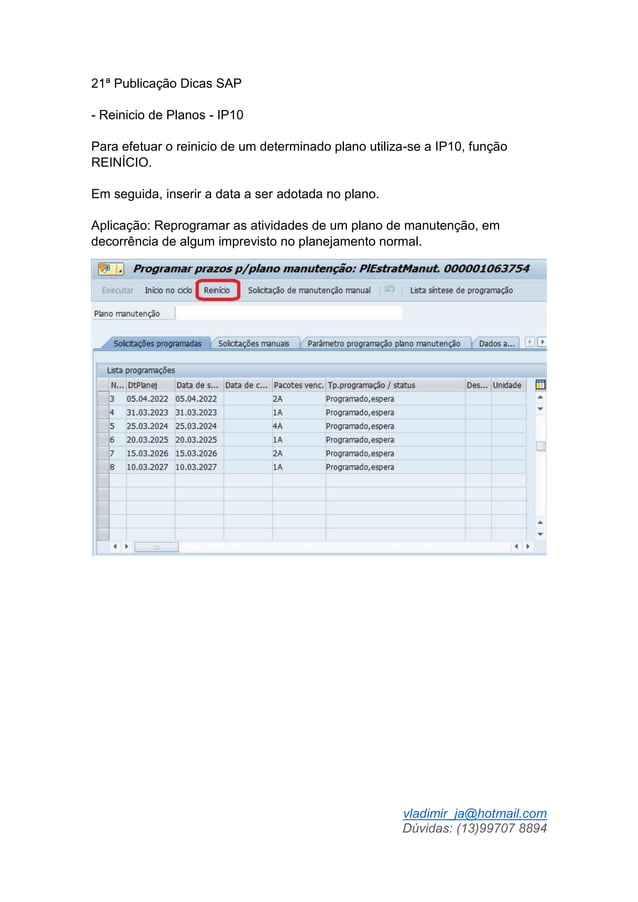 Manual sap | PDF