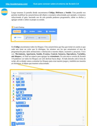 MANUAL SCRATCH.pdf