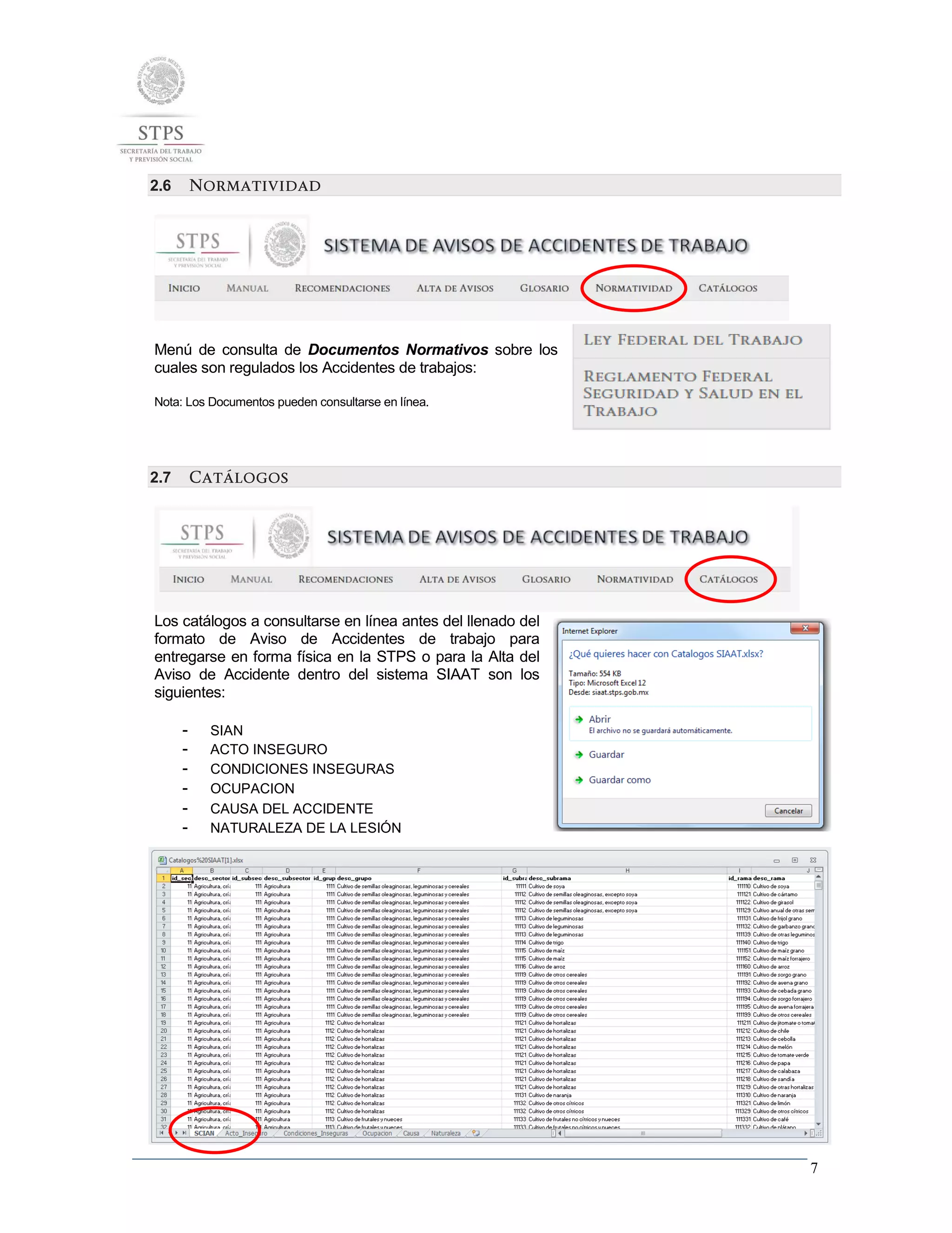 Manual STPS Sistema para dar Avisos de Accidentes de Trabajo SIAAT | PDF