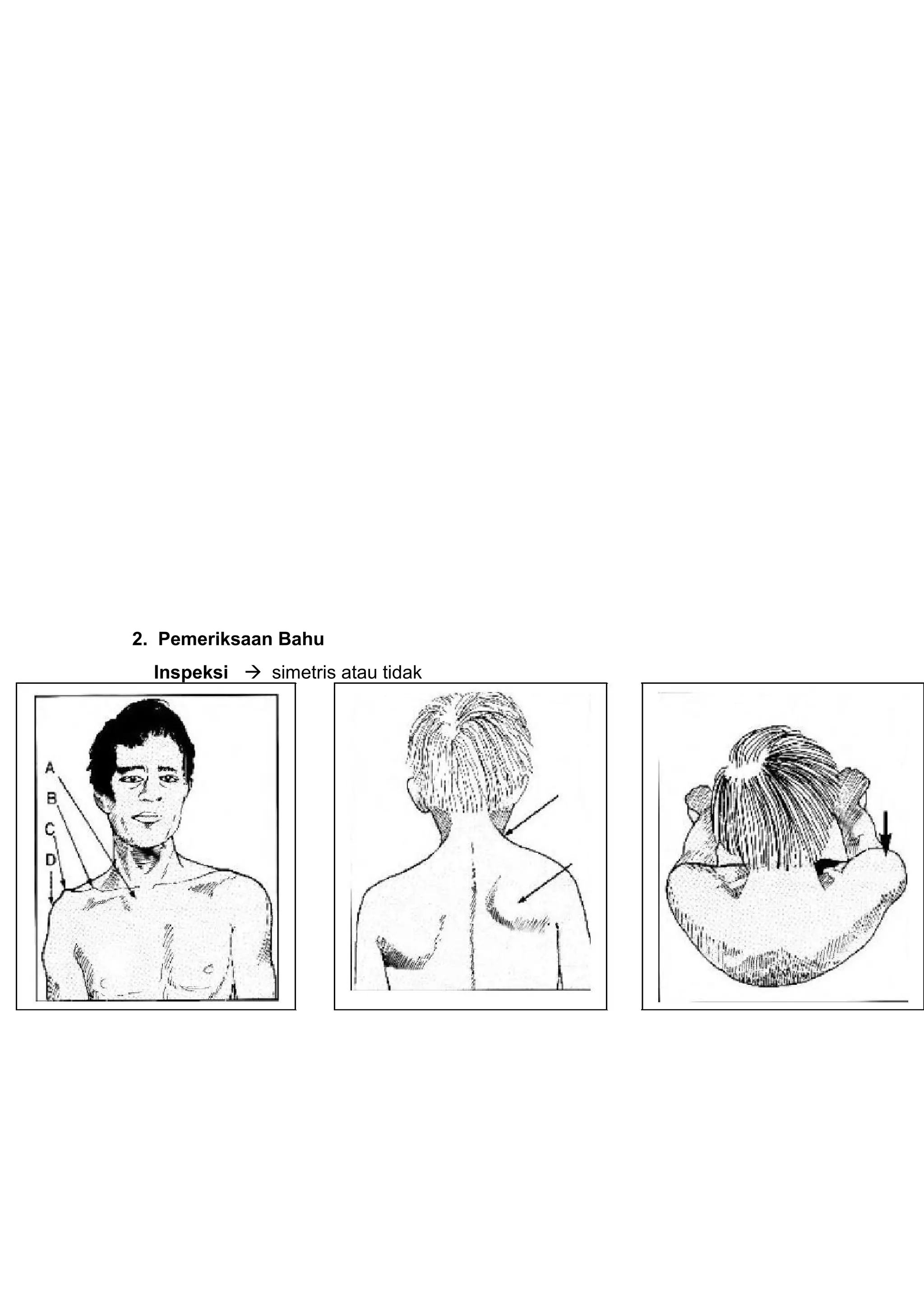 Manual skills lab_ortho | PDF