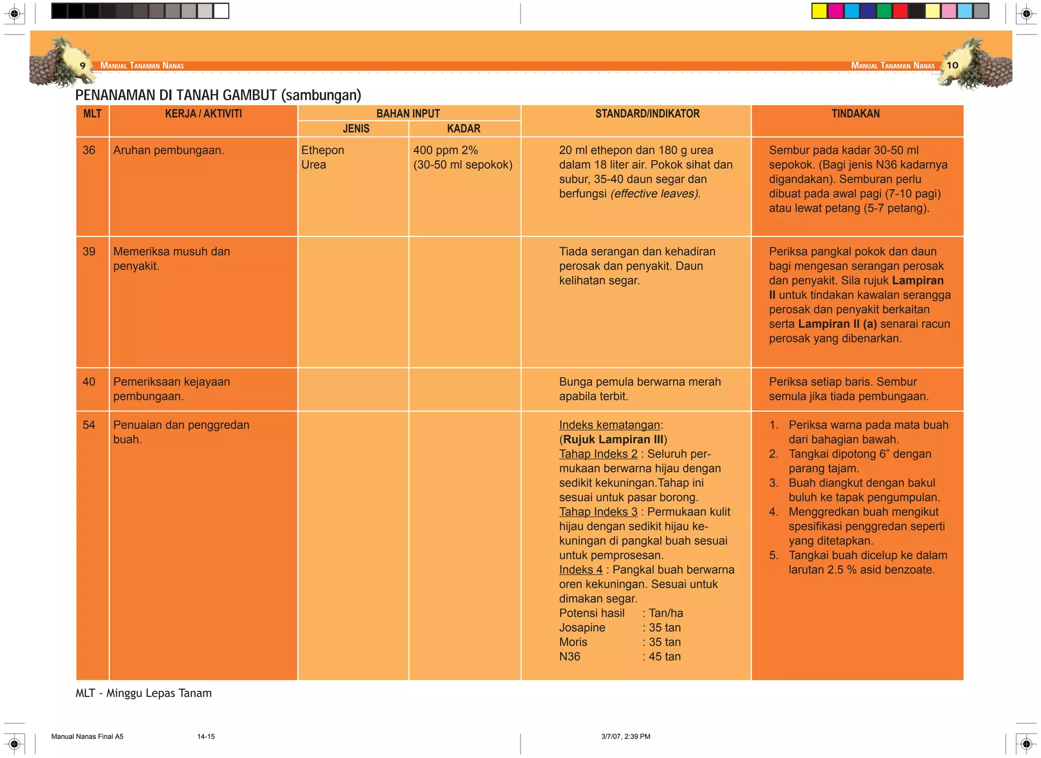 Manual Tanaman Nanas | PDF