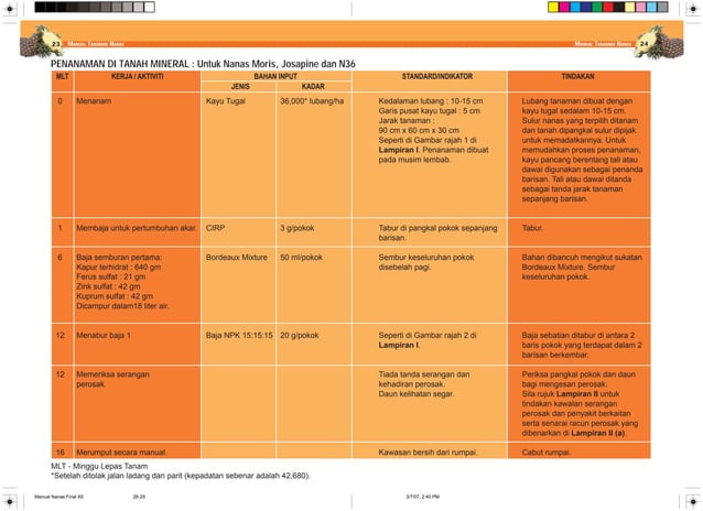 Manual Tanaman Nanas | PDF