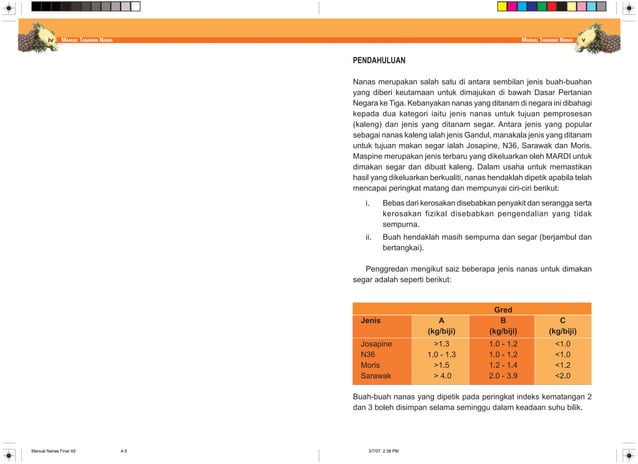 Manual Tanaman Nanas | PDF
