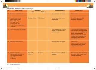 Manual Tanaman Nanas | PDF