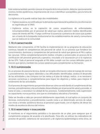 MANUAL TECNICO PAI FINAL.pdf