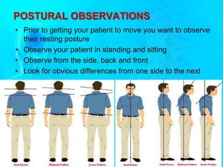 Manual therapy 4 | PPTX | Physical Therapy | Wellness
