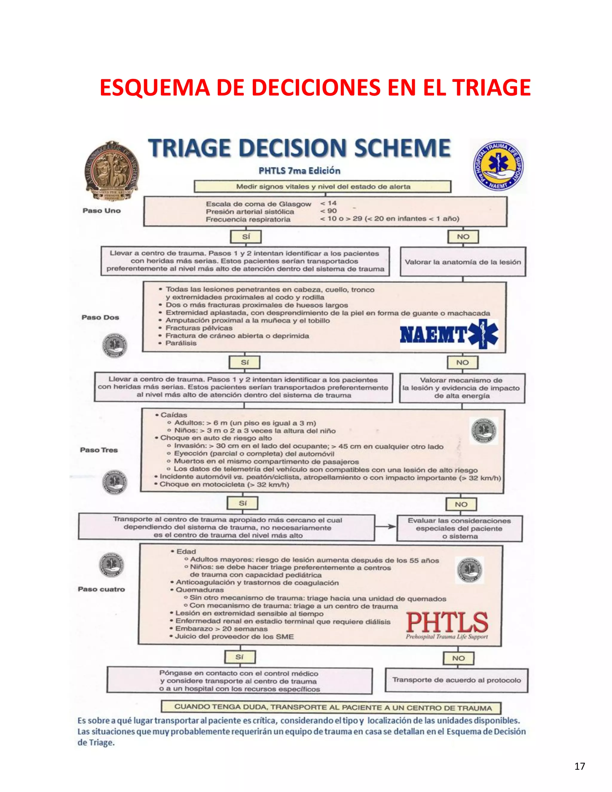 MANUAL TRIAGE pdf.pdf