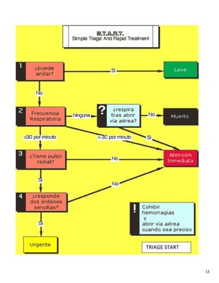 MANUAL TRIAGE pdf.pdf