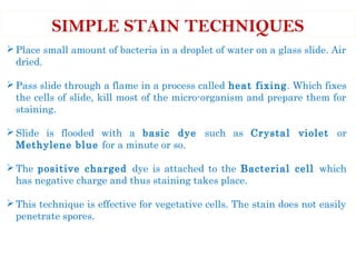 STAINING TECHNIQUES IN MICROBIOLOGY & CELL BIOLOGY | PPT