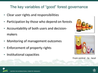 Governing natural forest regeneration | PPTX