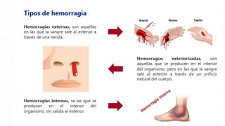 Comprehensive First Aid Training: Emergency Response and Care ...