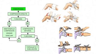 Comprehensive First Aid Training: Emergency Response and Care ...