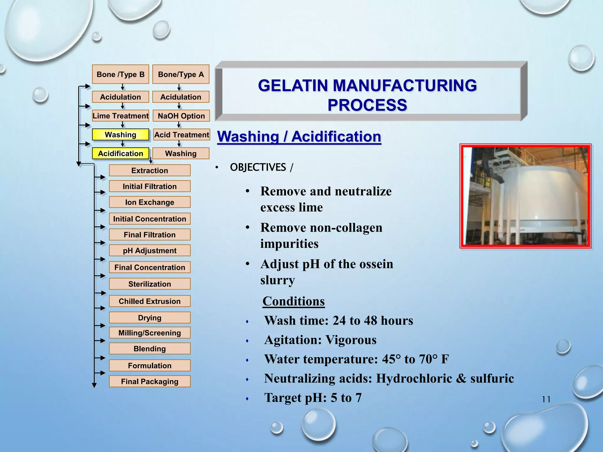Manufacture of gelatin | PPTX