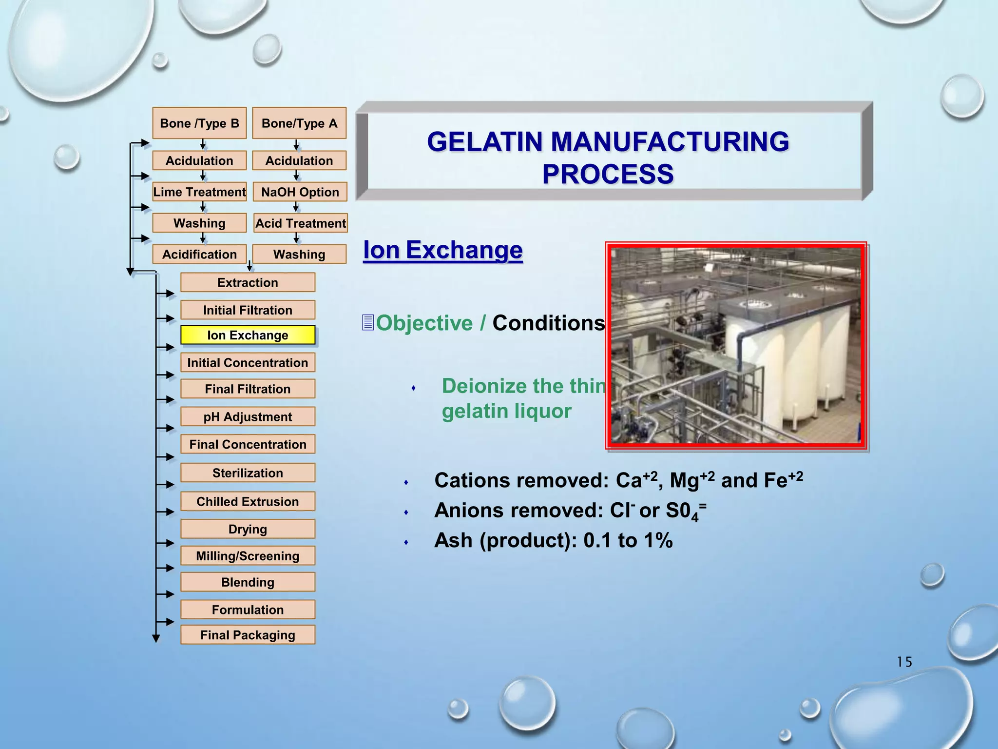 Manufacture of gelatin | PPTX