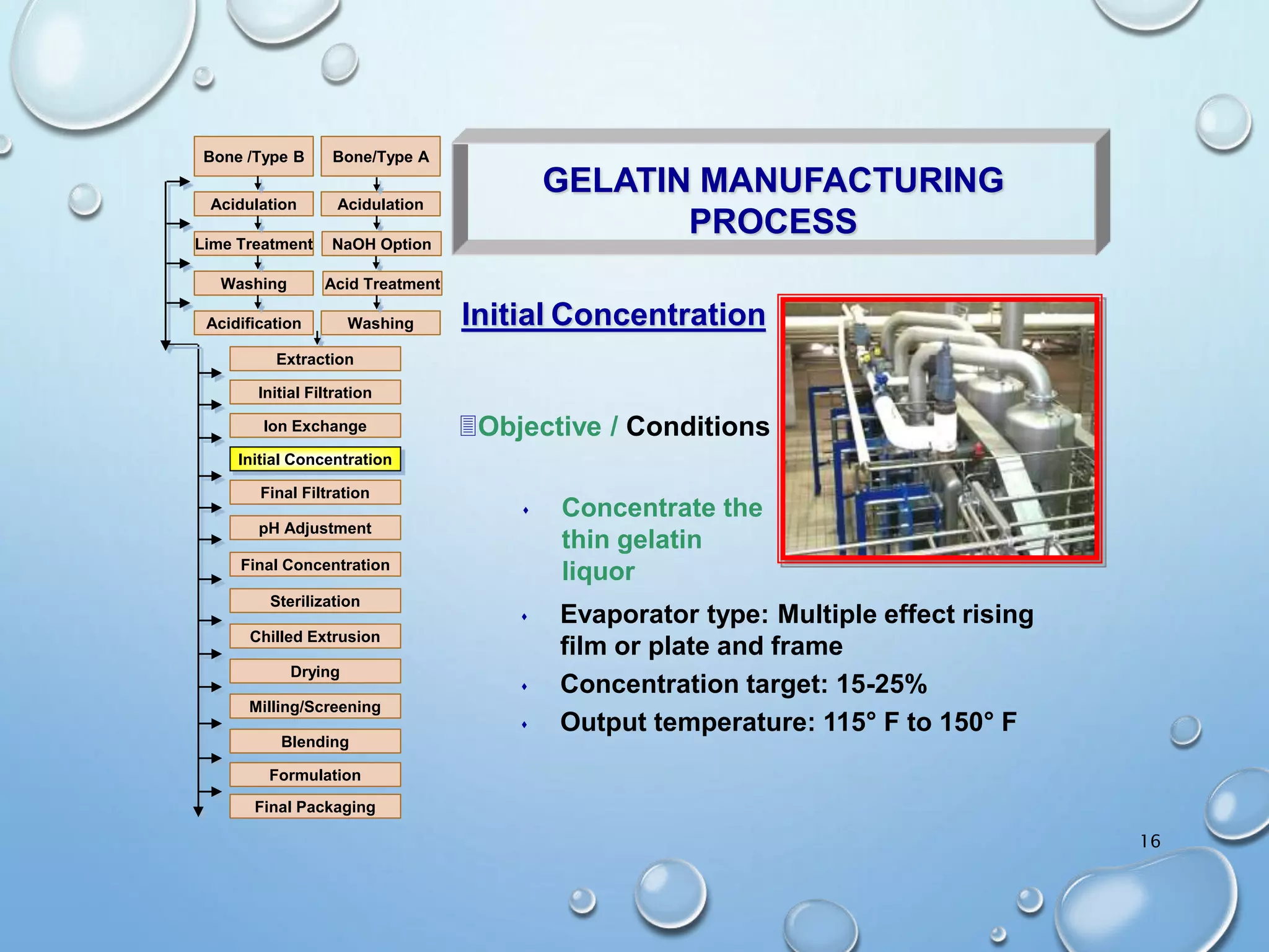Manufacture of gelatin | PPTX