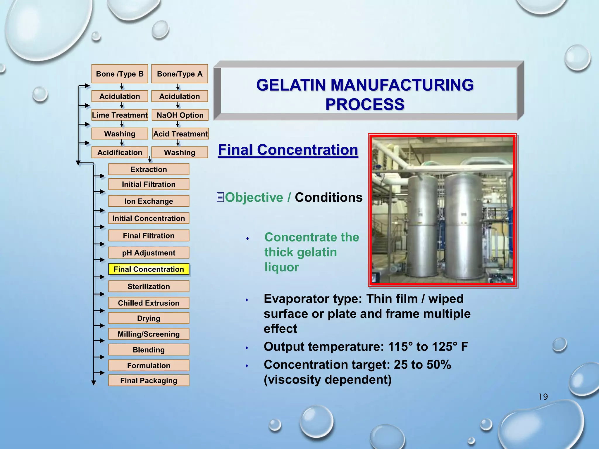 Manufacture of gelatin | PPTX